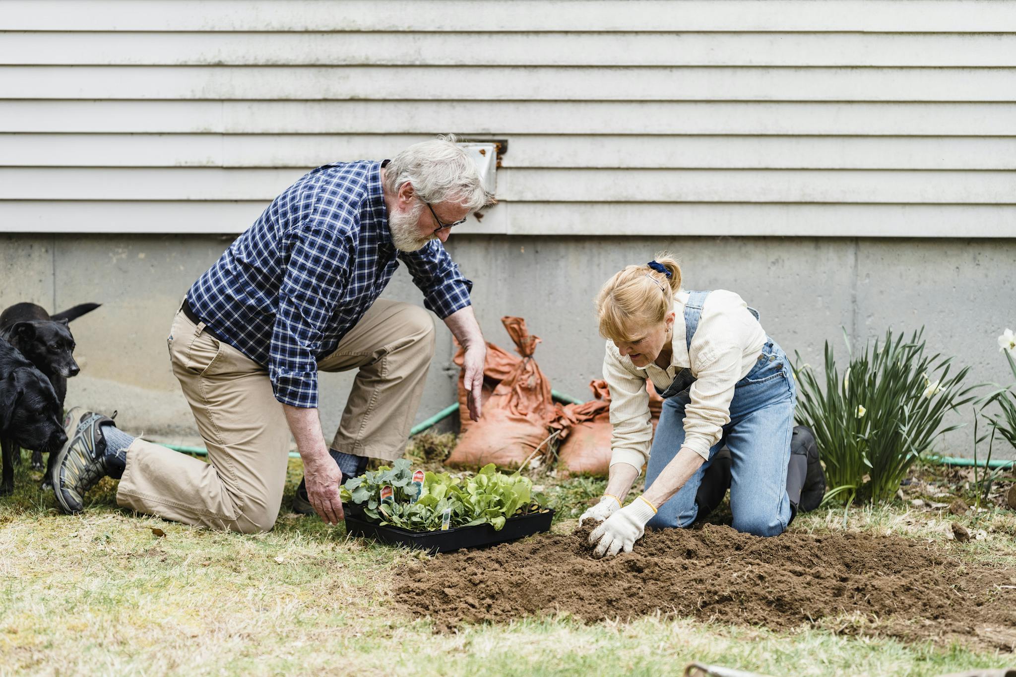 Can You Compost Apples? - Compost Charm